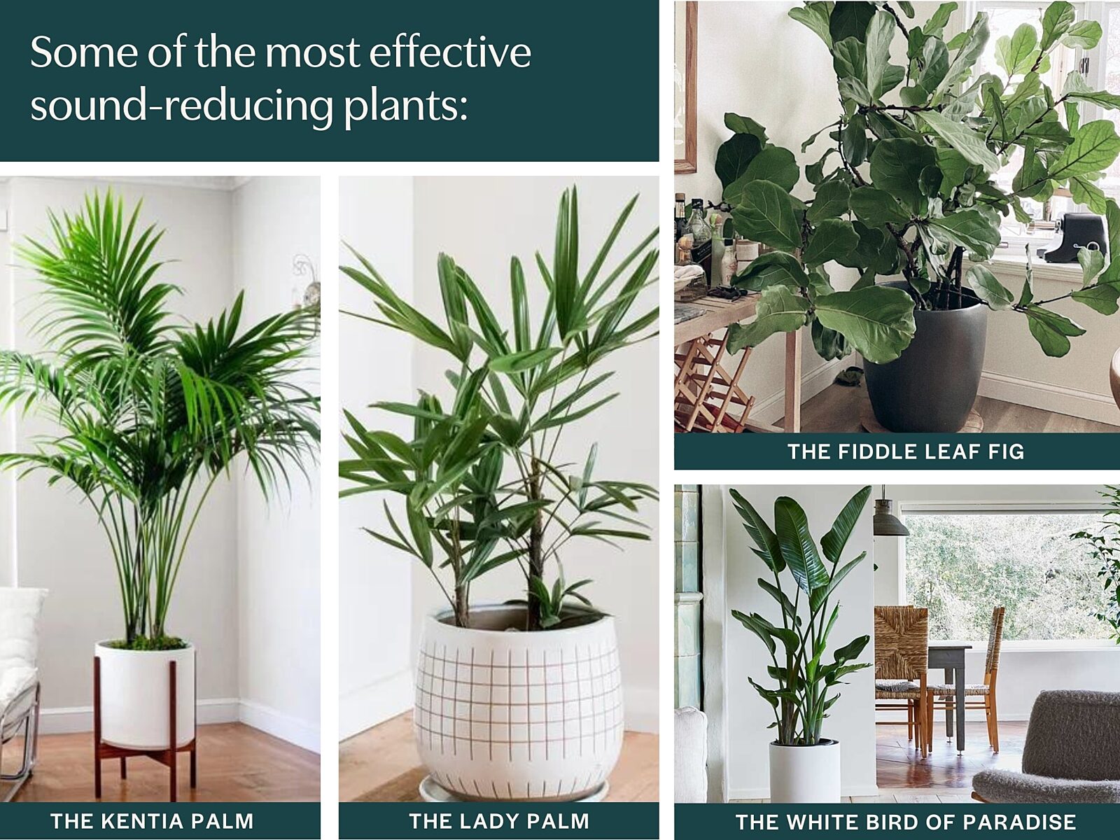 Creative Office Resources | The Larger The Leaf, The Greater The…